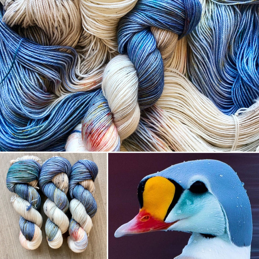 Where Birds Meet Yarn – Songbird Yarn & Fibres