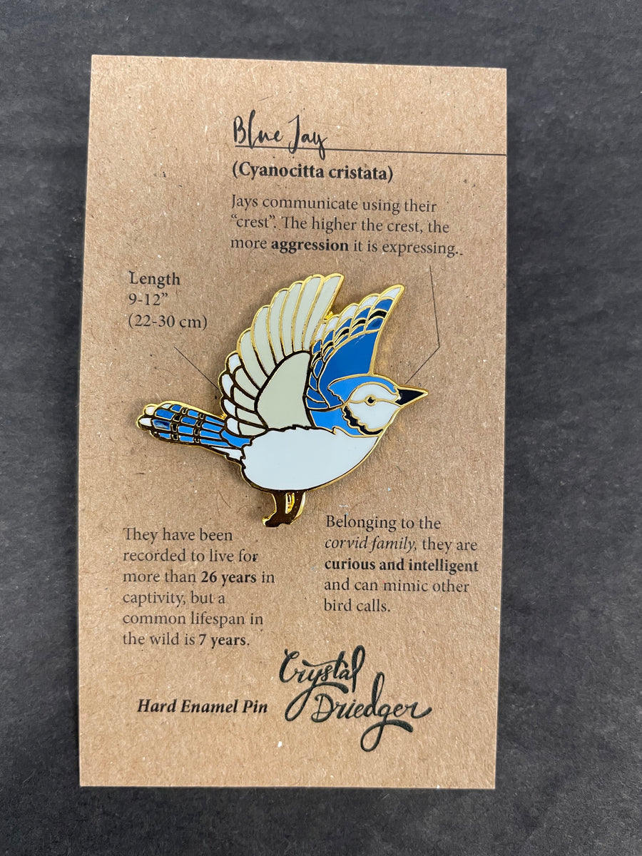Blue Jay Pin Songbird Yarn And Fibres